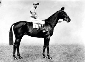 Golden Miller- Winner of Cheltenham AND the Grand National ...
